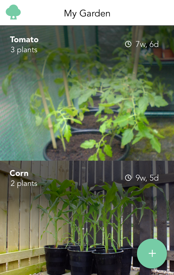 Trackyard – Kate Rushton