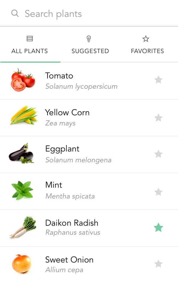 Trackyard – Kate Rushton