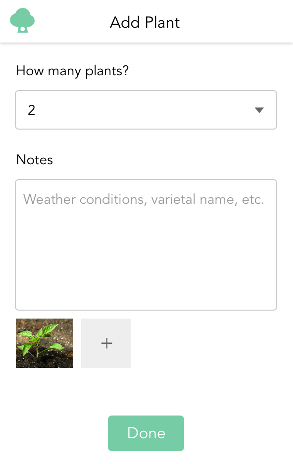 Trackyard – Kate Rushton
